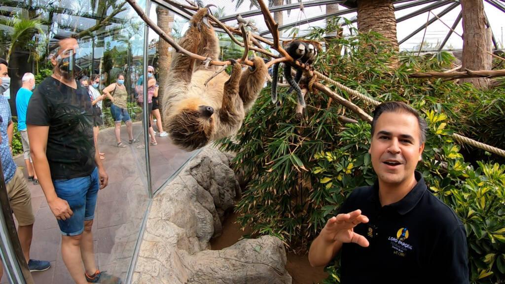 News Loro Parque Fundación