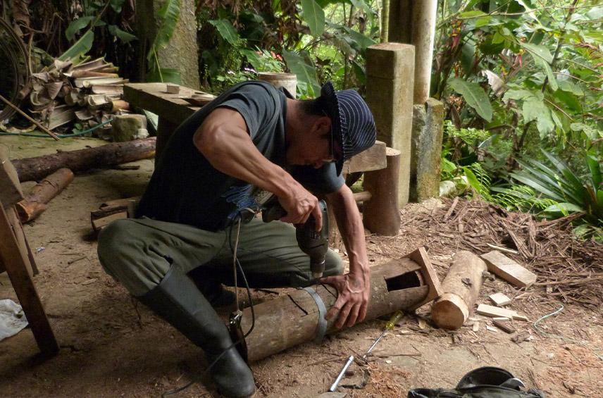 Pyrrhura viridicata, Santa Marta Parakeet • Loro Parque Fundación
