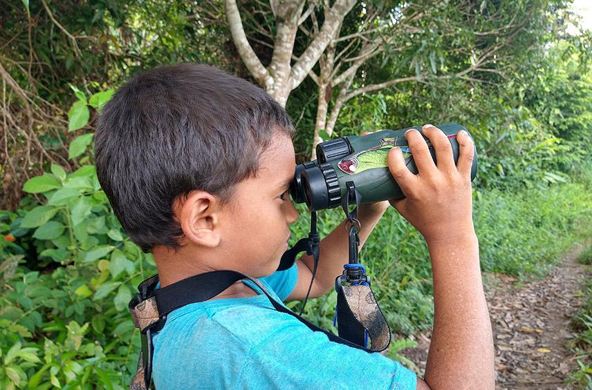 Pyrrhura picta subandina, Sinu Parakeet • Loro Parque Fundación