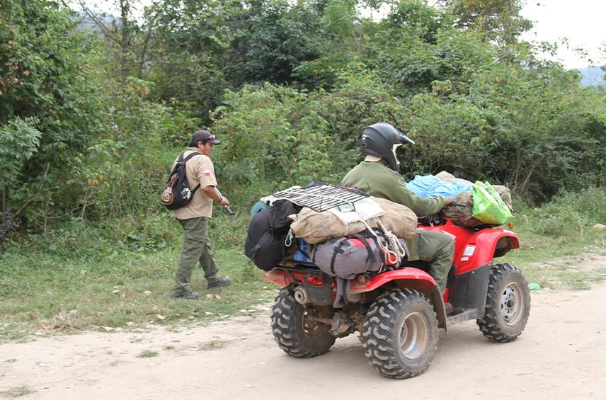 Ara militaris, Guacamayo militar • Loro Parque Fundación